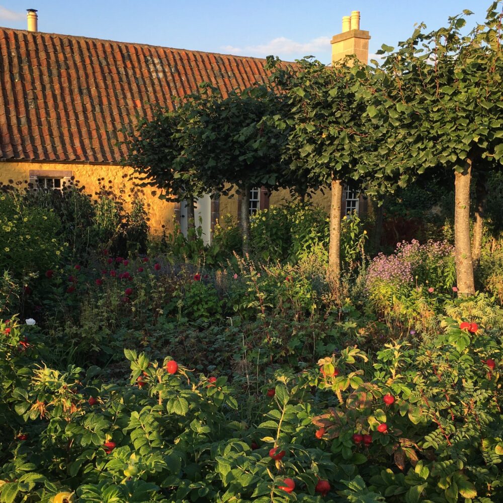 Broadwoodside | Garden Plan