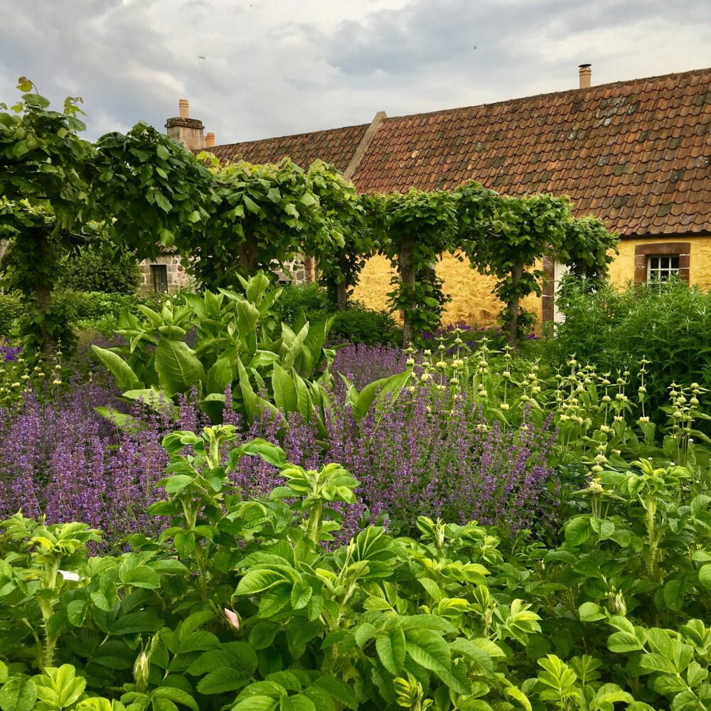 Broadwoodside | Garden Plan